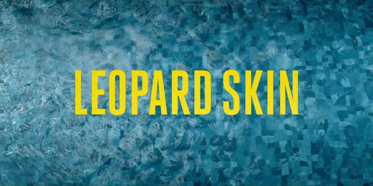 Leopard Skin (2022) — Art of the Title